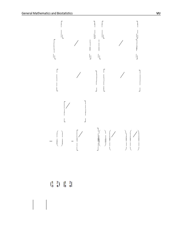 Matrix Determinants and Inverses Guide | PDF | Determinant ...