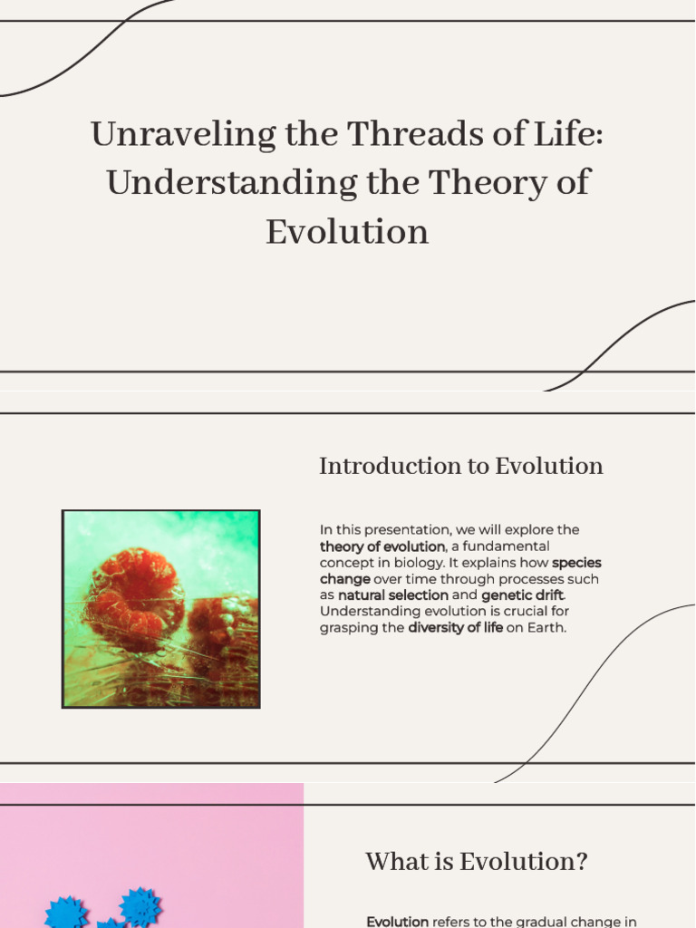 The Theory of Evolution | PDF