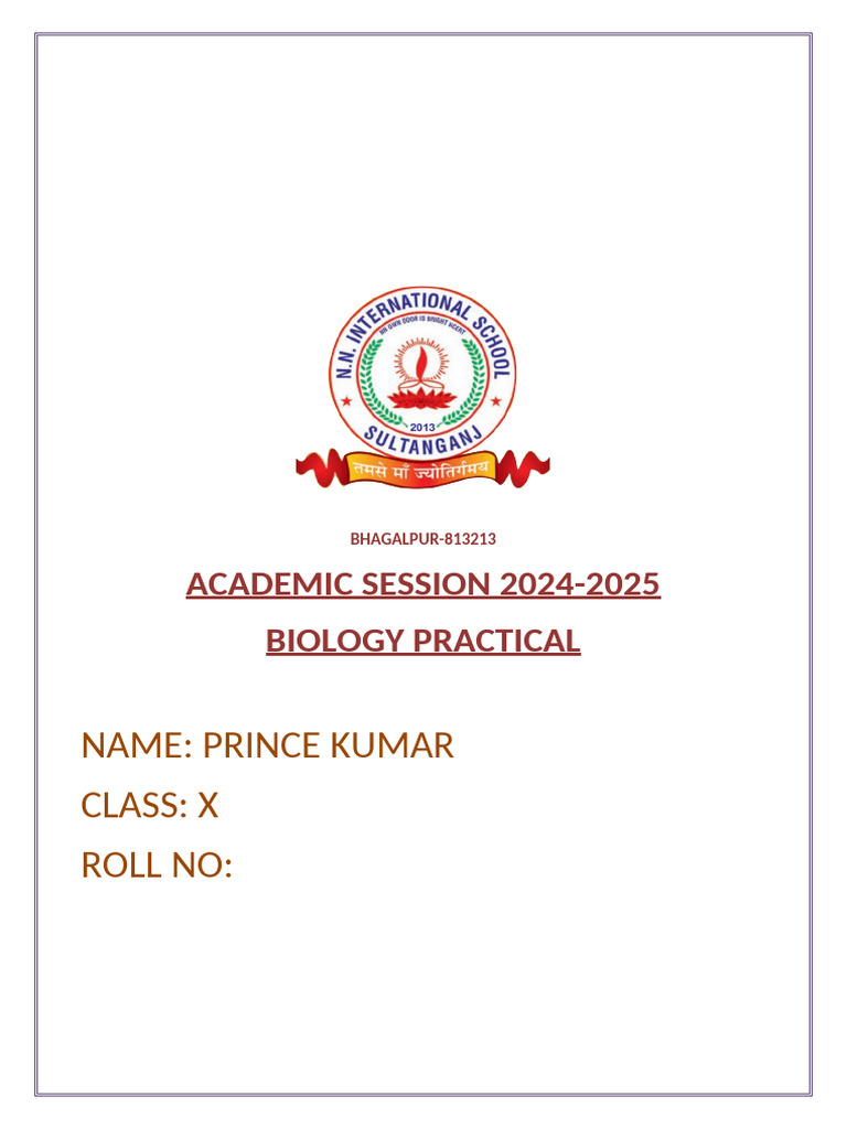 Class X Practical Exams 2024-25 | PDF