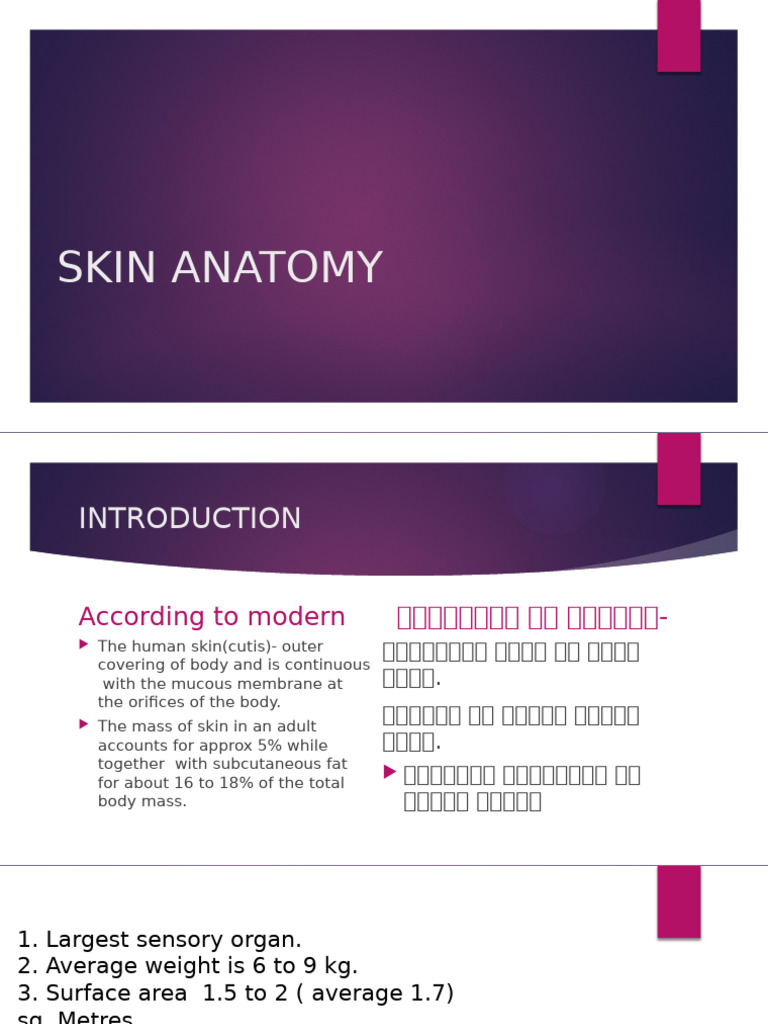 Skin | PDF
