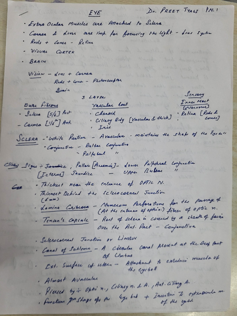 eyes | PDF | Visual System | Human Eye
