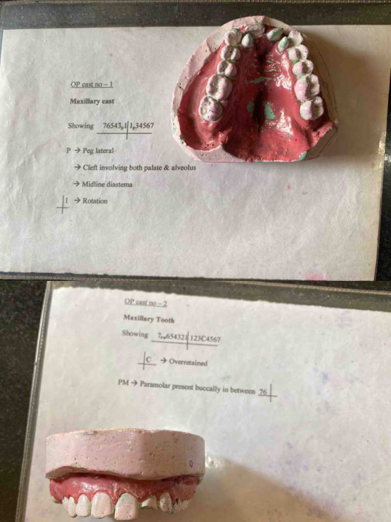 Oral Pathology Cast Spotters | PDF