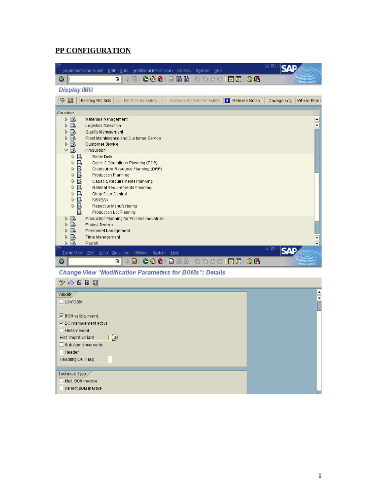 PP_Config_Guide | PDF | Specification (Technical Standard) | Sales