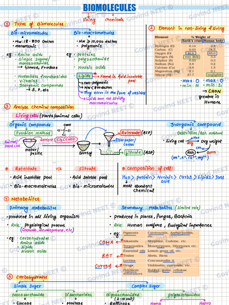 BIOMOLECULES (Biology) | PDF