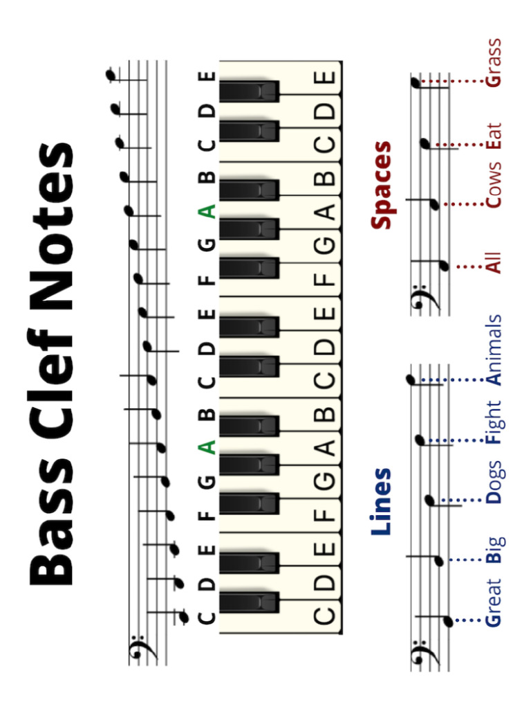 Bass Clef Notes | PDF