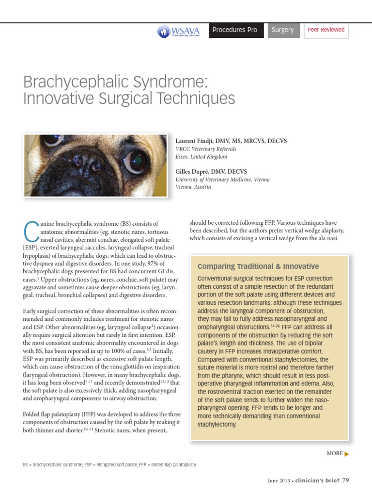Brachycephalic Syndrome | PDF | Surgical Suture | Clinical Medicine