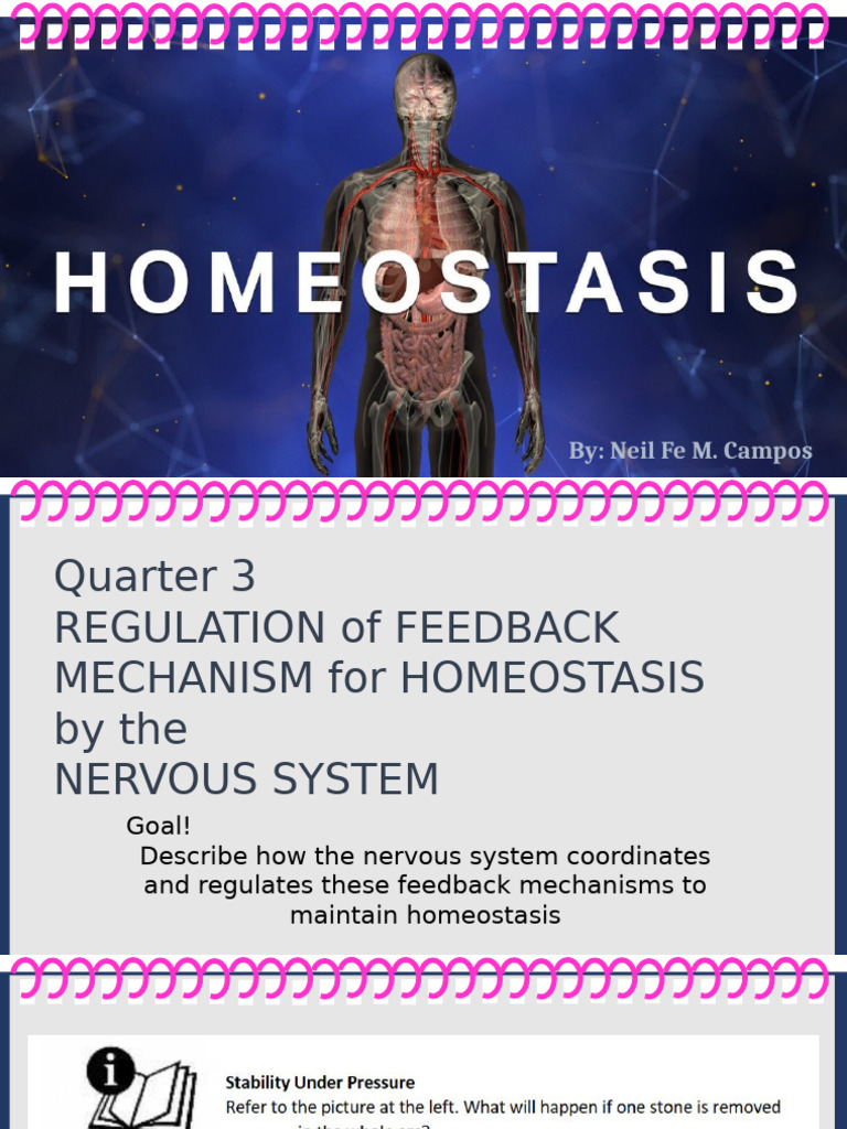 Nervous System Homeostasis | PDF | Homeostasis | Stimulus (Physiology)