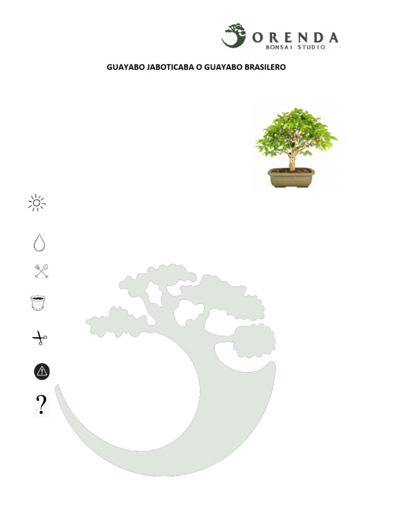 Ficha Guayabo Jaboticaba | PDF