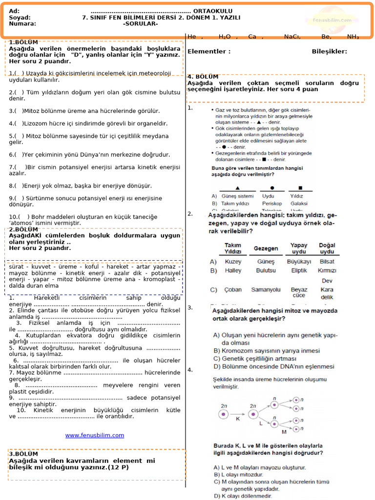 7 Sinif 1 Donem 2 Yazili | PDF