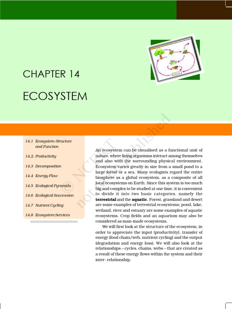 Understanding Ecosystem Structure | PDF | Ecosystem | Food Web