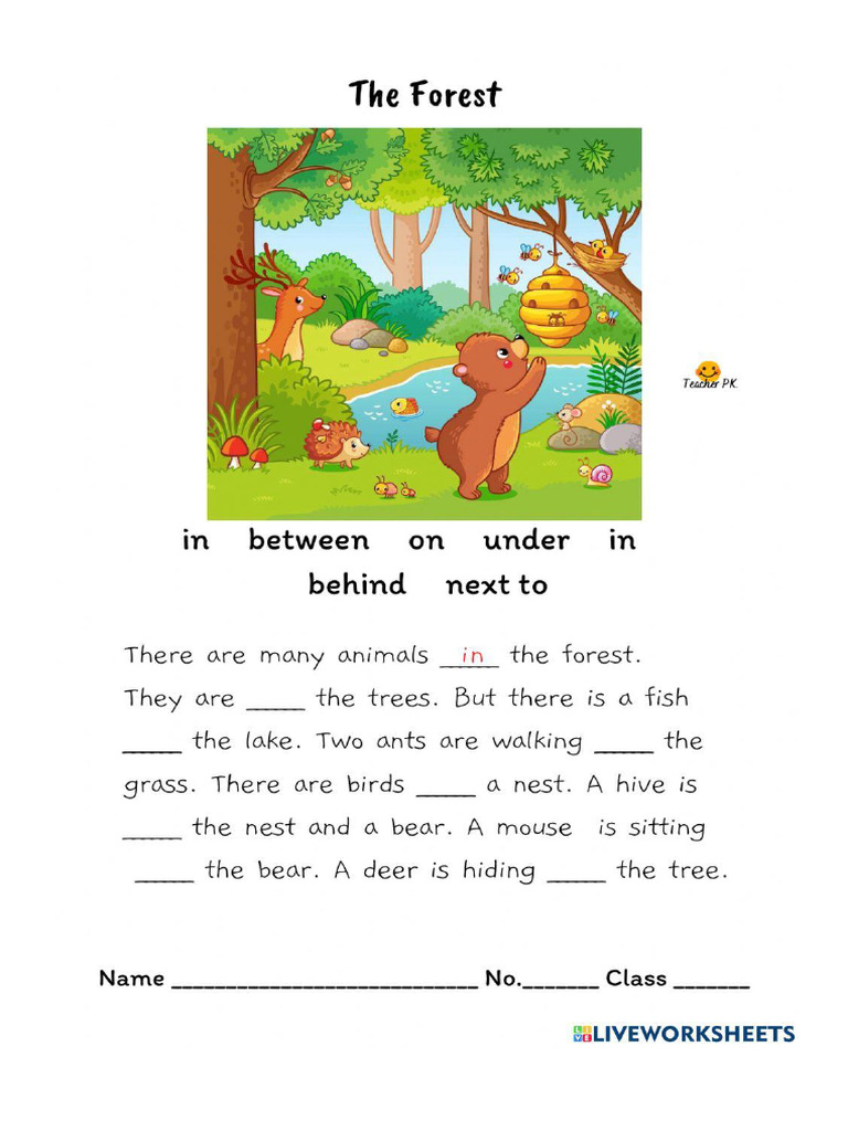 The Forest | PDF