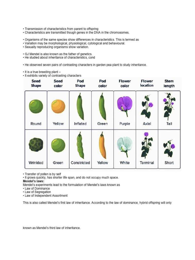 Understanding Heredity and Mendel's Laws | PDF | Dominance (Genetics ...