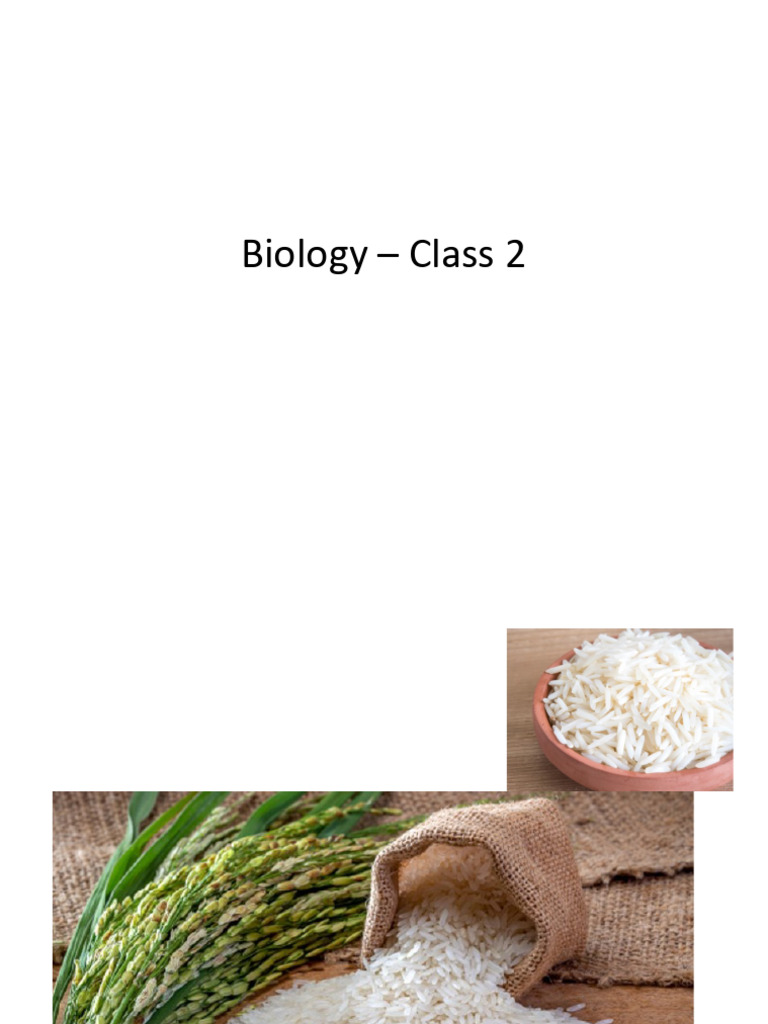 Bio Class 2 | PDF