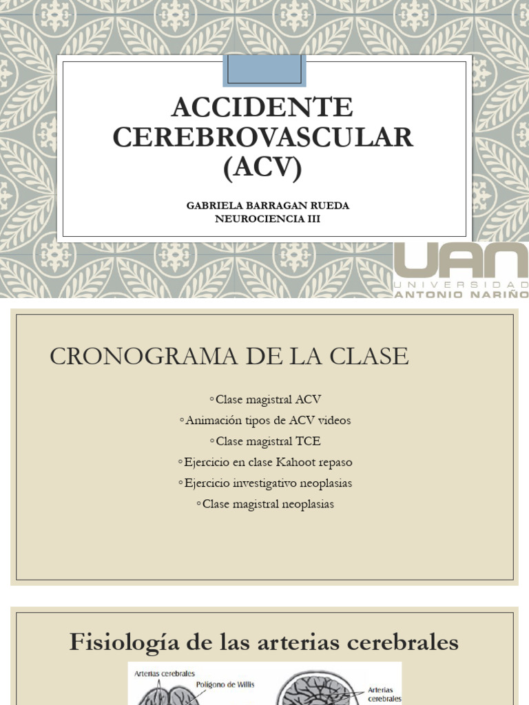 CLASE ACV .pptx_96886b48ebfe35902f3370e35540a09f | PDF | Carrera | Embolia