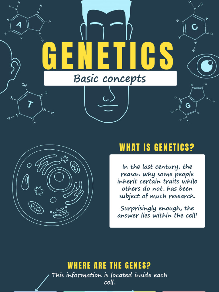 Stages of Genetic Engineering Process | PDF | Molecular Cloning ...