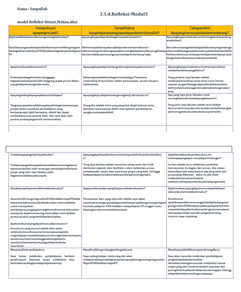 3.1.d Refleksi Modul 3 SAEPULLOH PKG PJOK | PDF