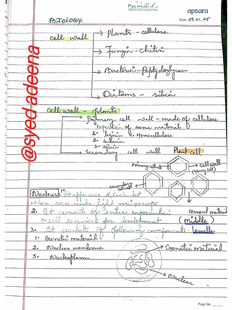 PDF Class 9 (Biology) Cell | PDF