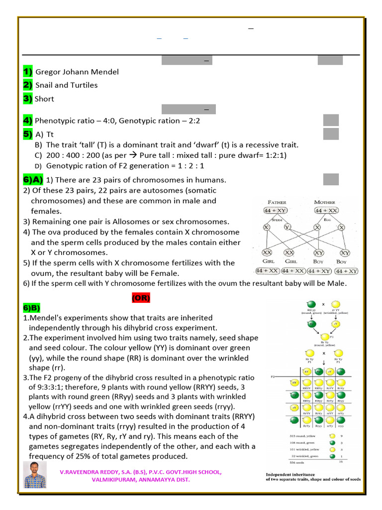 Class 10 Biology Self-Assessment Paper | PDF