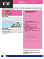 Plant Structure and Functions Guide | PDF | Plants | Leaf