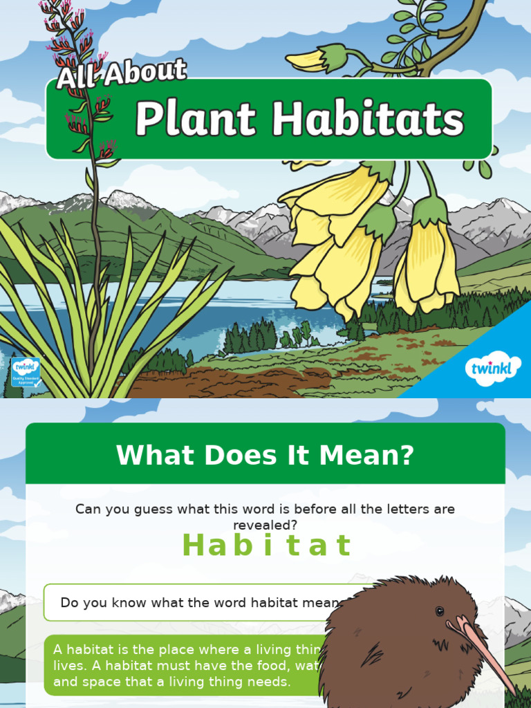 All About Plant Habitats Powerpoint - Ver - 1 | PDF | Savanna | Desert