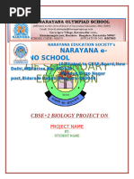 EVS Project Front Page | PDF