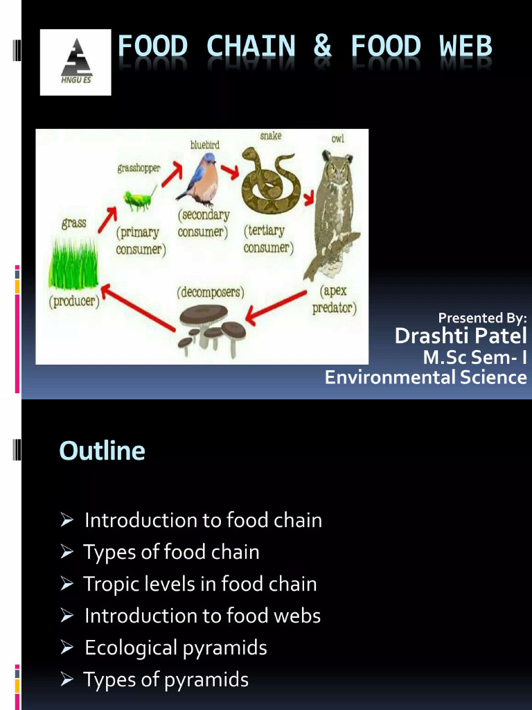 71843099-7cfa-4c3f-92d7-f4ccb22bc8d7 | PDF