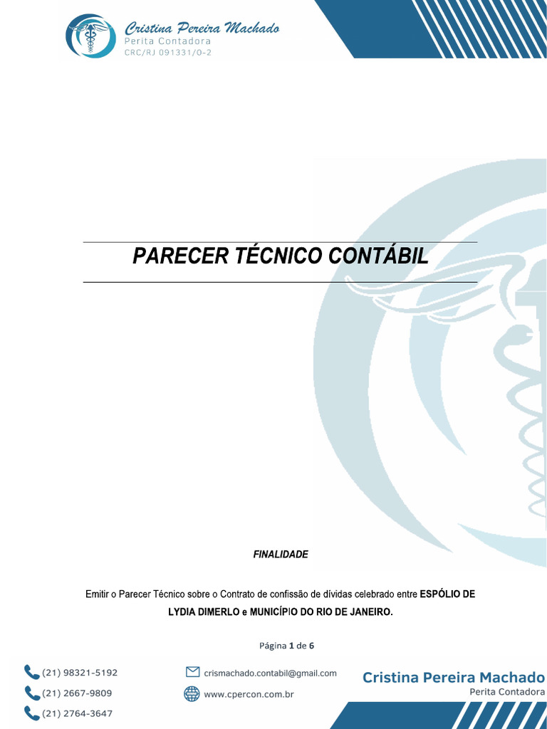 Modelo de Parecer Técnico | PDF