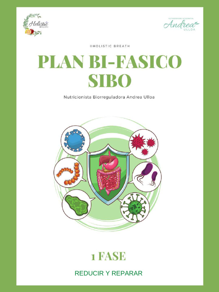 Protocolo Sibo, Reducir y Reparar | PDF | ensalada | Alimentos