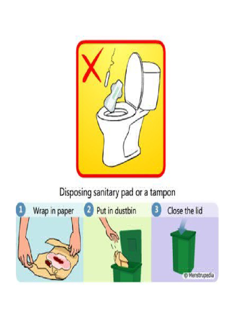Disposing Sanitary Pads | PDF