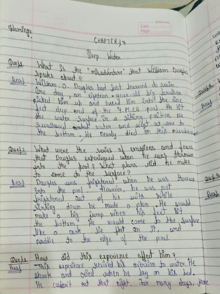 chapter 3 flamingo | PDF