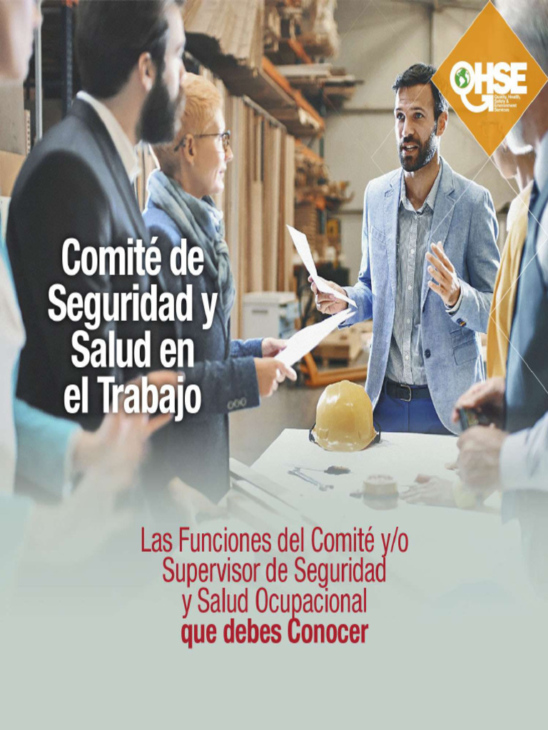 COMITÉ SST FUNCIONES | PDF