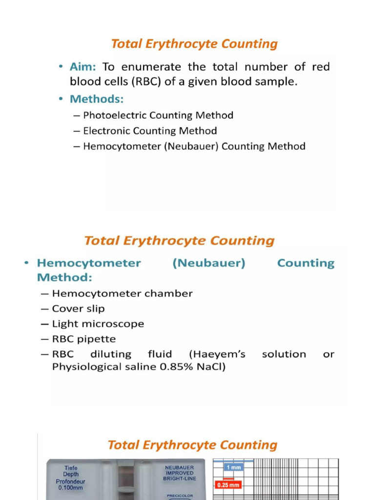 RBC WBC Count | PDF
