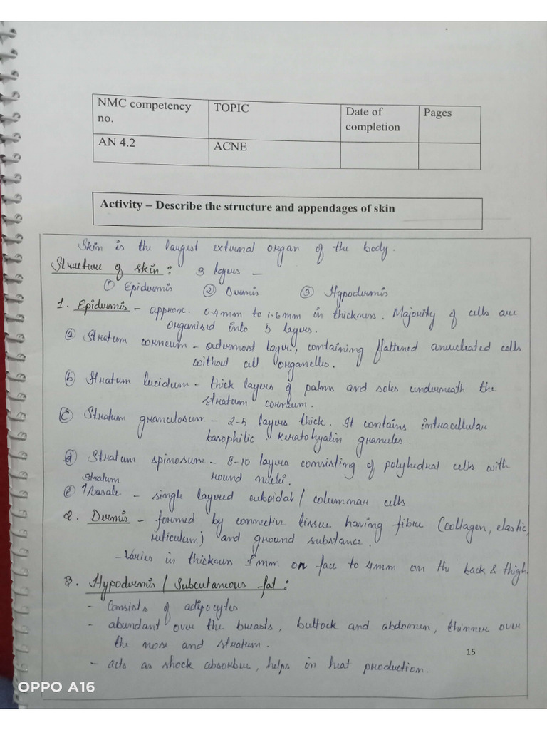 Derma Log Book (Phase2) | PDF