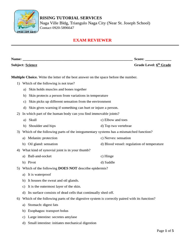 G6 Science Exam Review | PDF | Skin | Axon