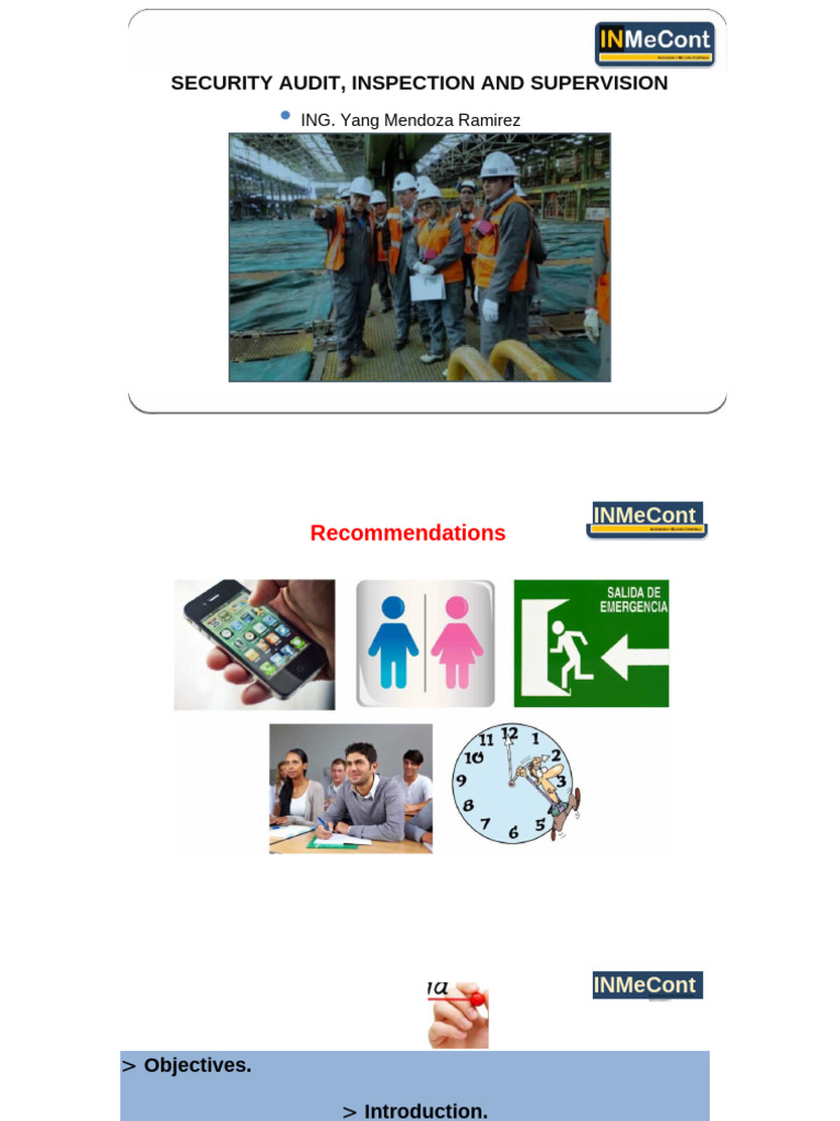 Security Audit & Inspection Guide | PDF | Audit | Occupational Safety And Health