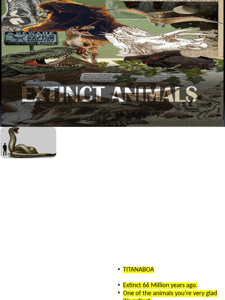 Extinct Animals and Their Causes | PDF | Extinction | Biology