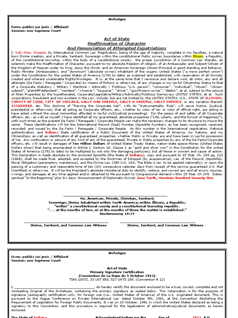 Act of State-Generic | PDF | Common Law | United States Constitution