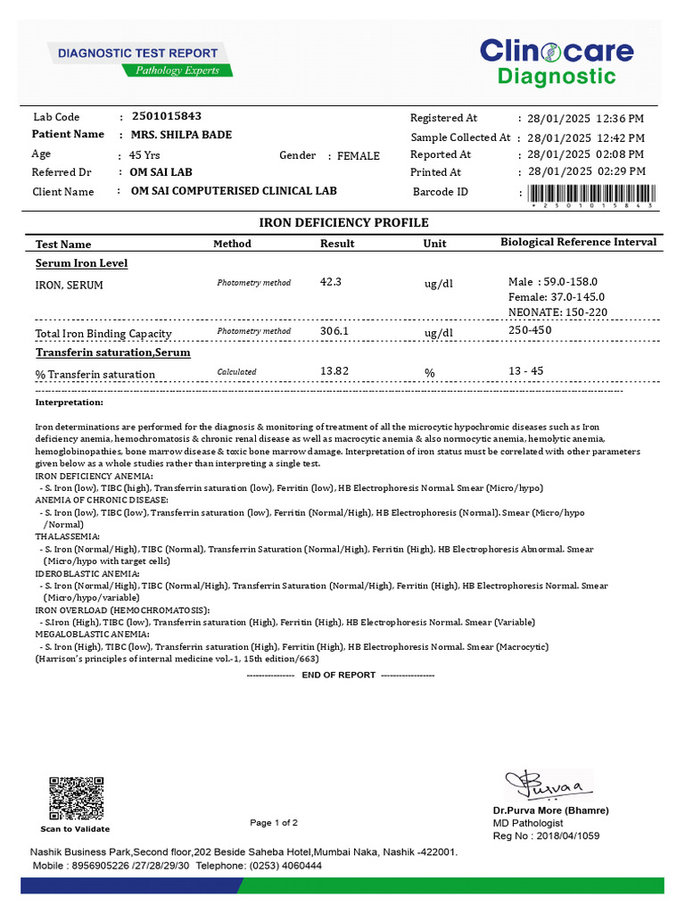Iron & Vitamin B12 Lab Report | PDF | Anemia | Medical Specialties