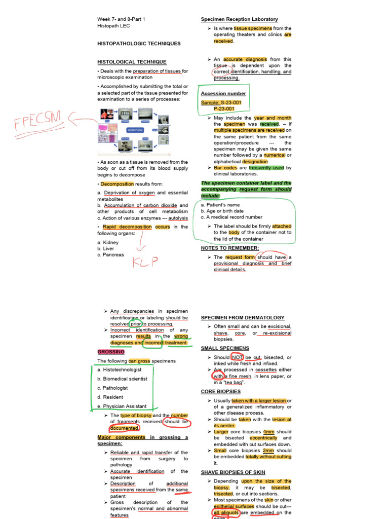 Histopathologic Techniques 2 Pdf Fixation Histology Biopsy