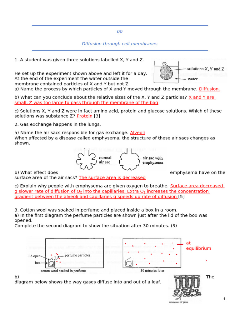 3 Diffusion and Osmosis Worksheets Answers | PDF | Diffusion | Osmosis