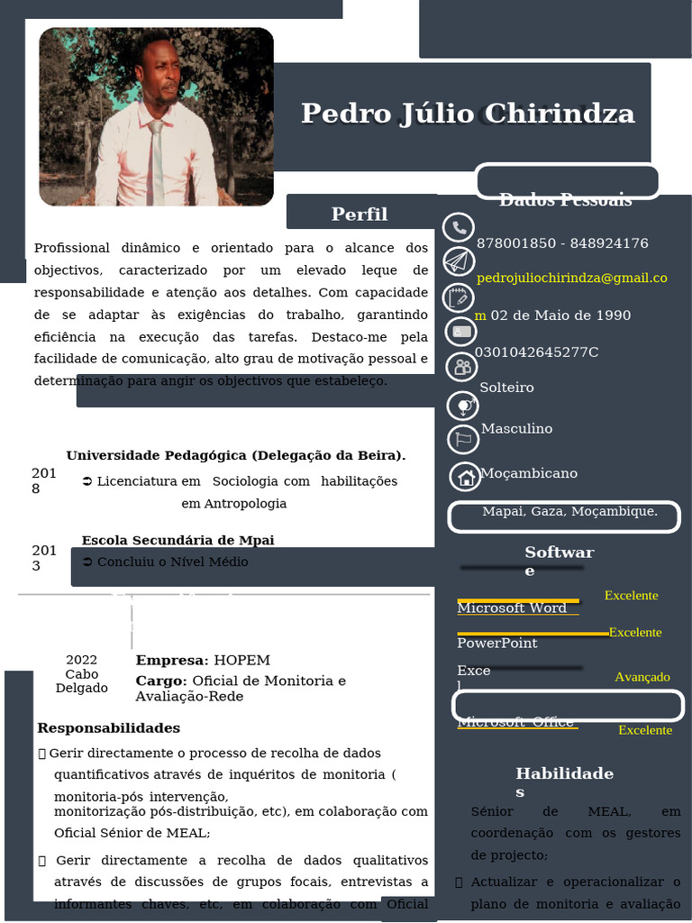 Curriculum Vitae (Pedro Júlio Chirindza) | PDF | Dados | Sistema de ...