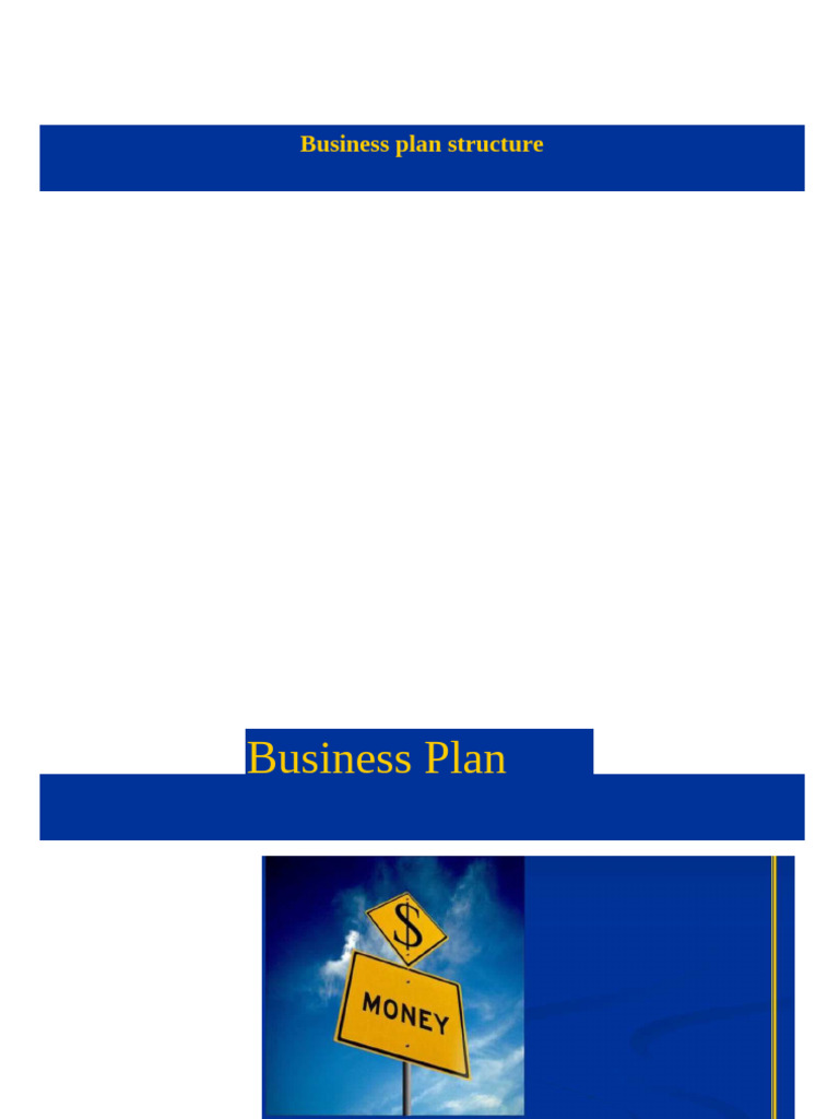 01 Business Plan Structure | PDF | Marketing | Venture Capital