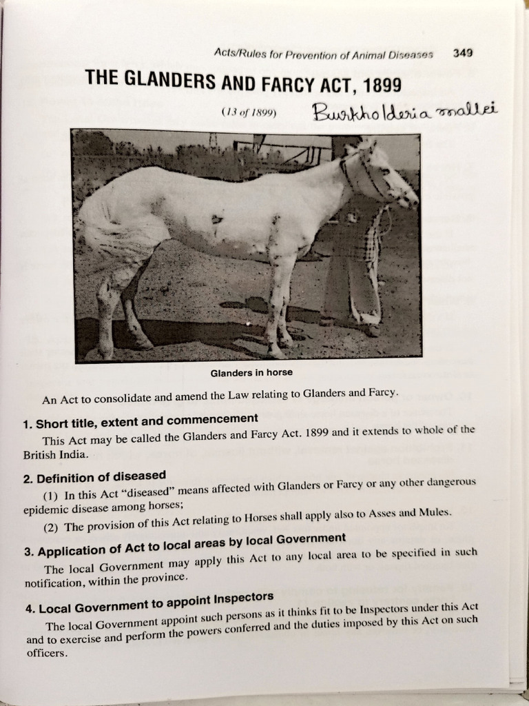 Glanders and Farcy and Dourine act | PDF | Search And Seizure | Common Law