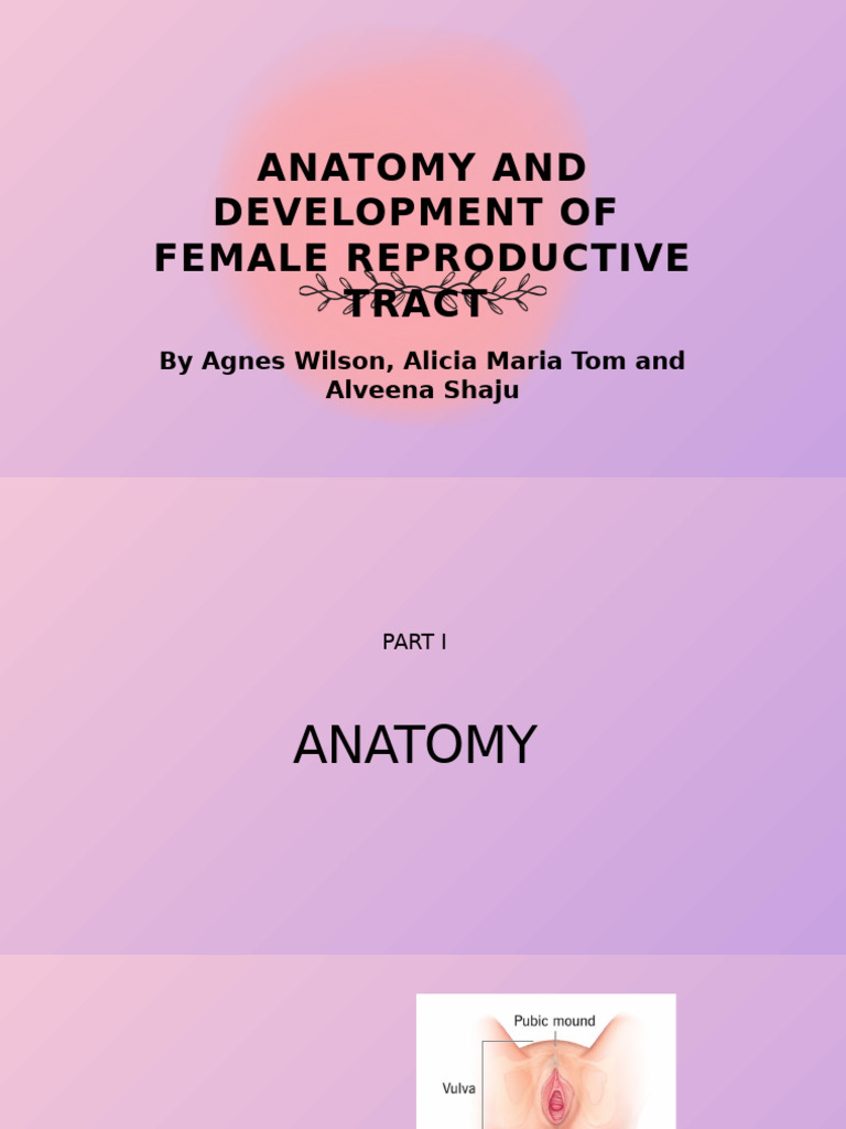 Anatomy and Development of Female Reproductive Tract | PDF | Ovary | Vagina
