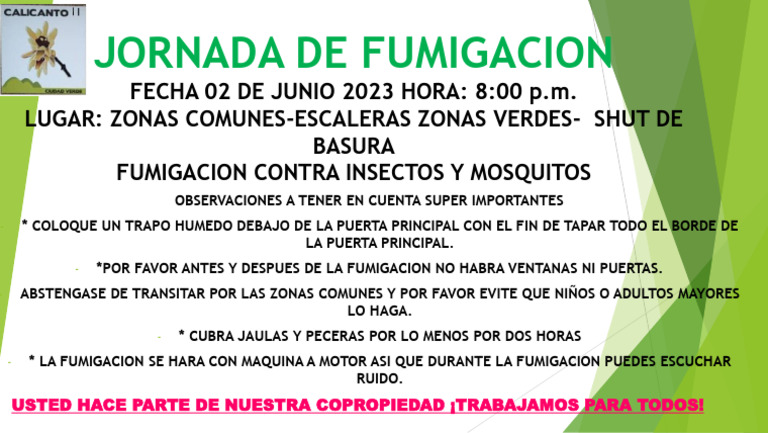 Fumigación Insectos y Mosquitos 2 Jun | PDF