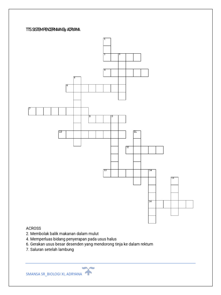 Tts Sistem Pencernaan 1 - Copy (2) | PDF