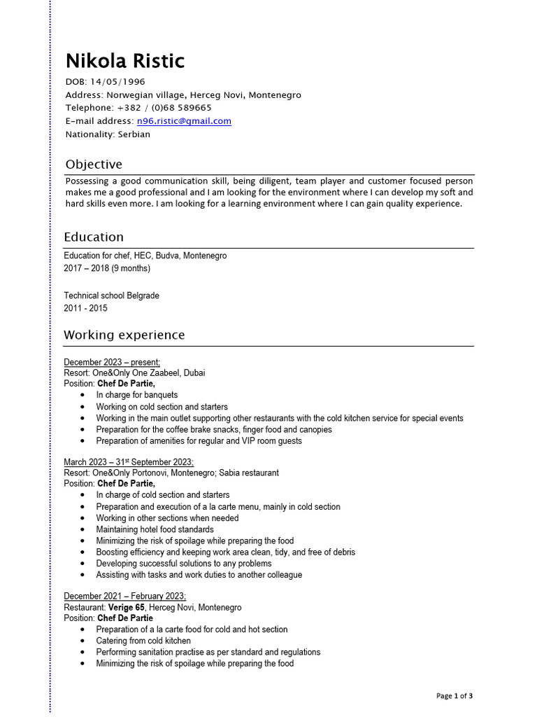 CV Nikola Ristic 2023 - ENG - 7 | PDF | Chef | Kitchen
