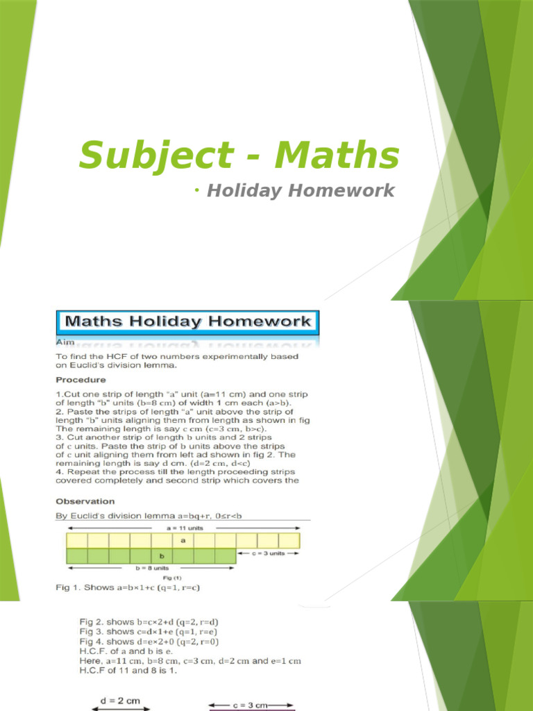 Subject - Maths: Holiday Homework | PDF