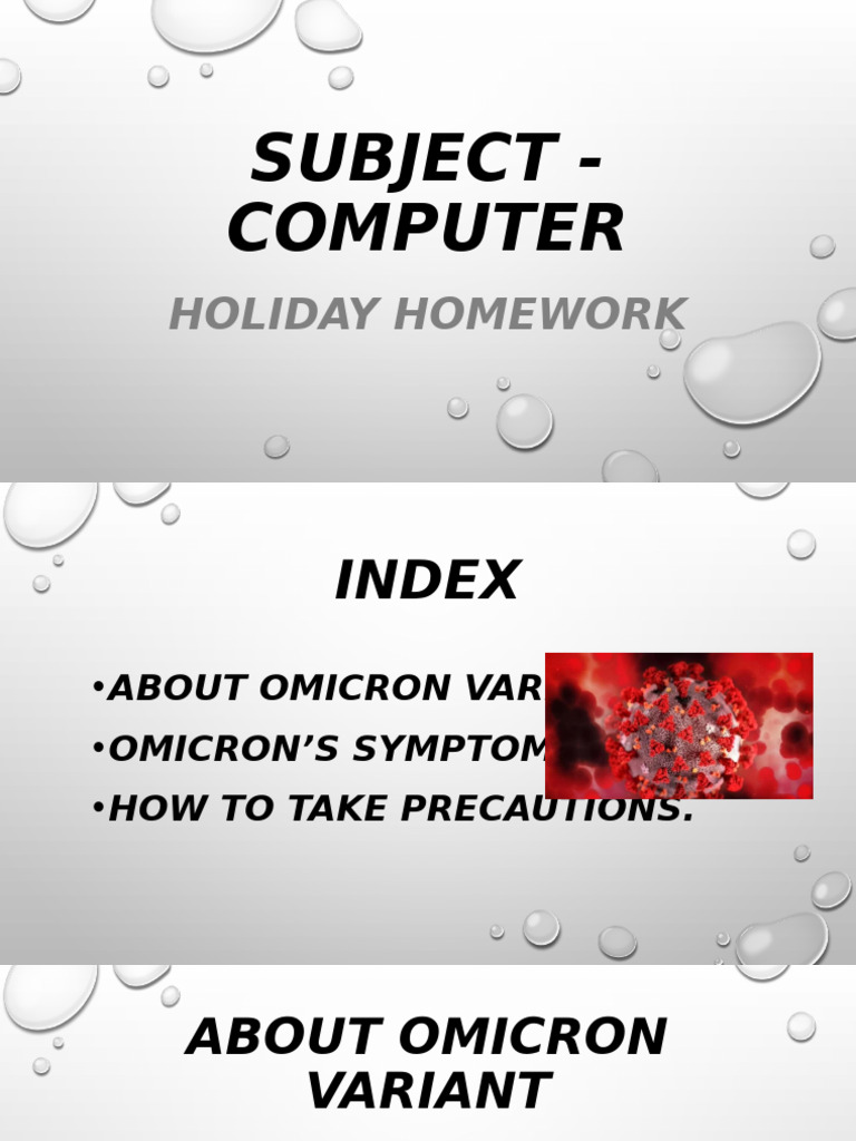 Subject - Computer: Holiday Homework | PDF