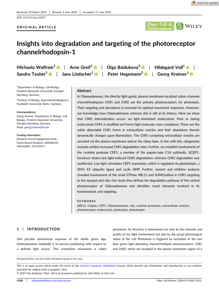 Plant Cell Environment - 2024 - Wolfram - Insights into degradation and targeting of the ...